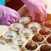 Shop Gloves by Industry - SafetyGloves.co.uk