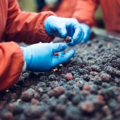 Gloves by Style - SafetyGloves.co.uk