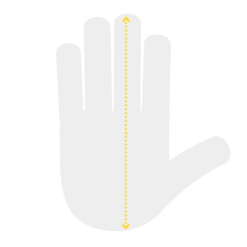 How to Measure Your Hands for Gloves - SafetyGloves.co.uk